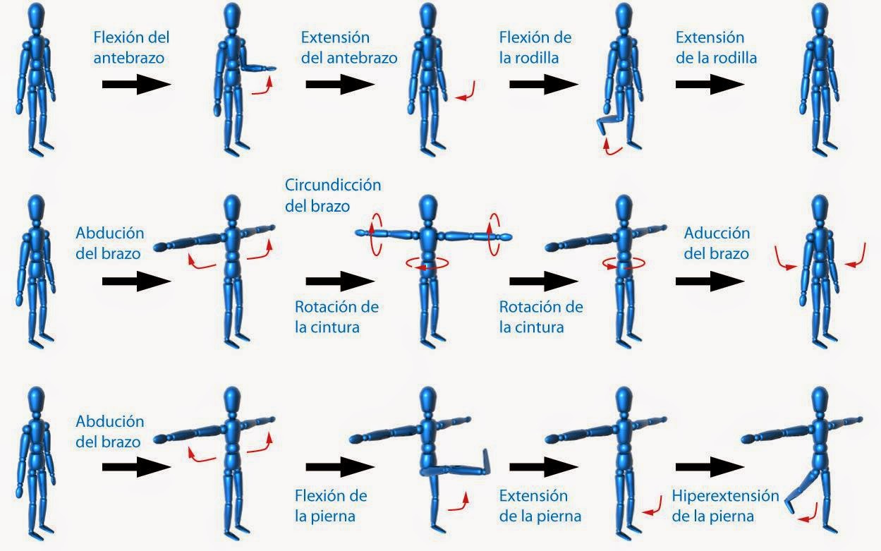 Movimientos Articulares (Definición y clasificación) - ODuBer CiTy