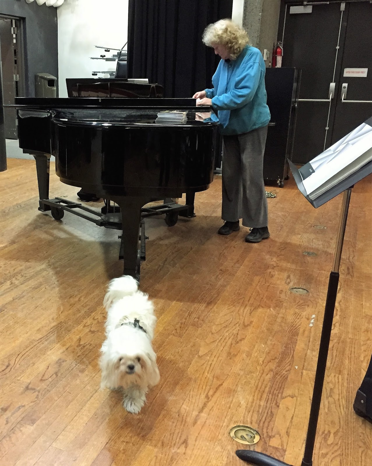 Essay-eh: Musical dog enjoys choir practice