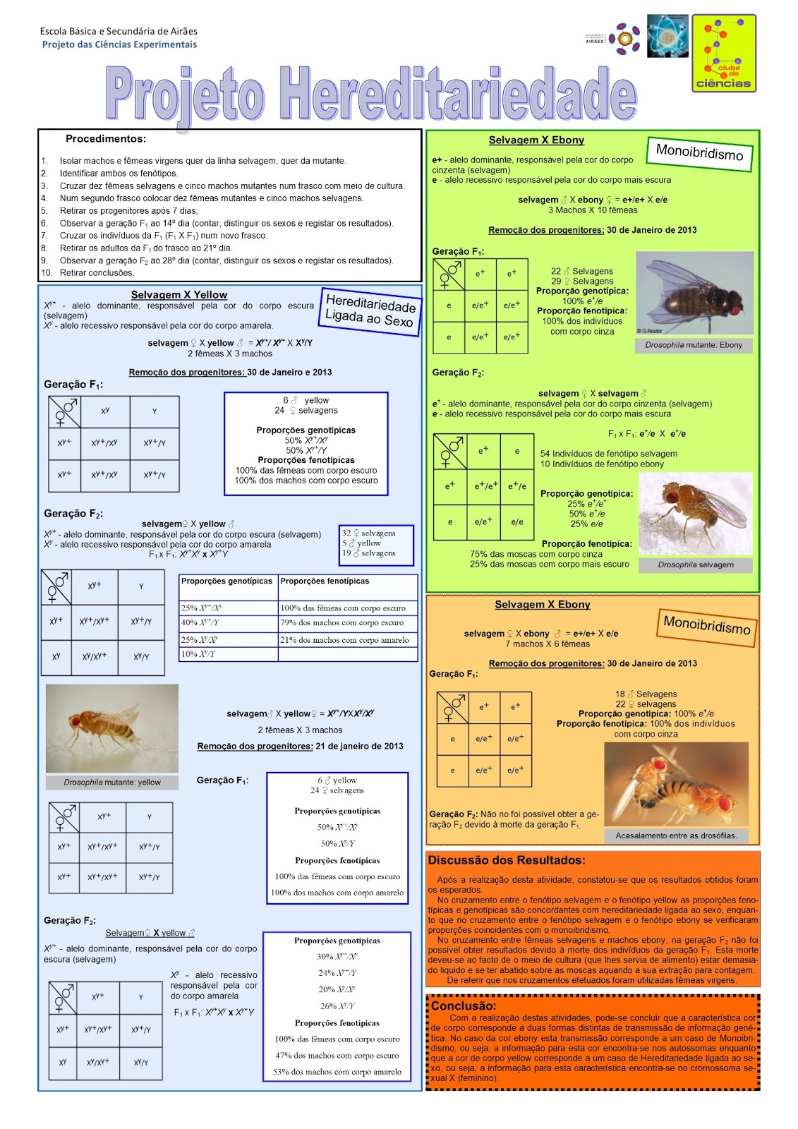 Projeto Ciências Experimentais: HEREDITARIEDADE