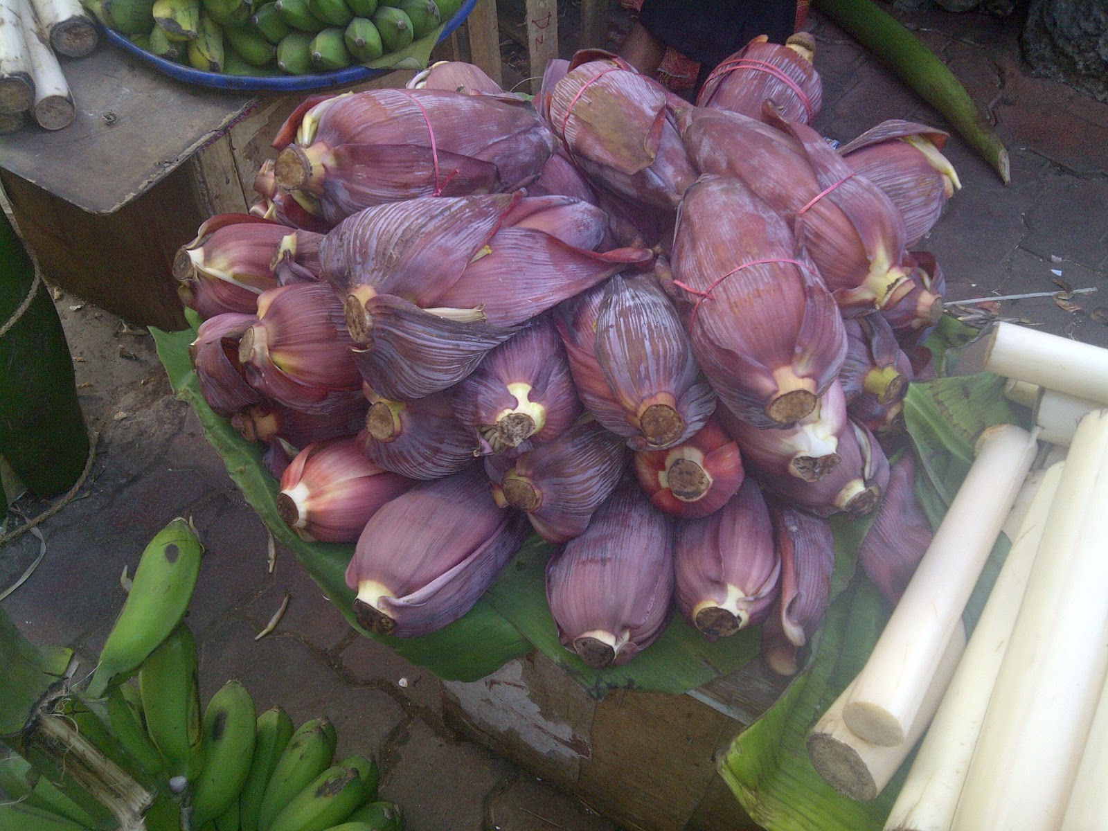 Rediscovering Matunga...a Food and Mythology Walk