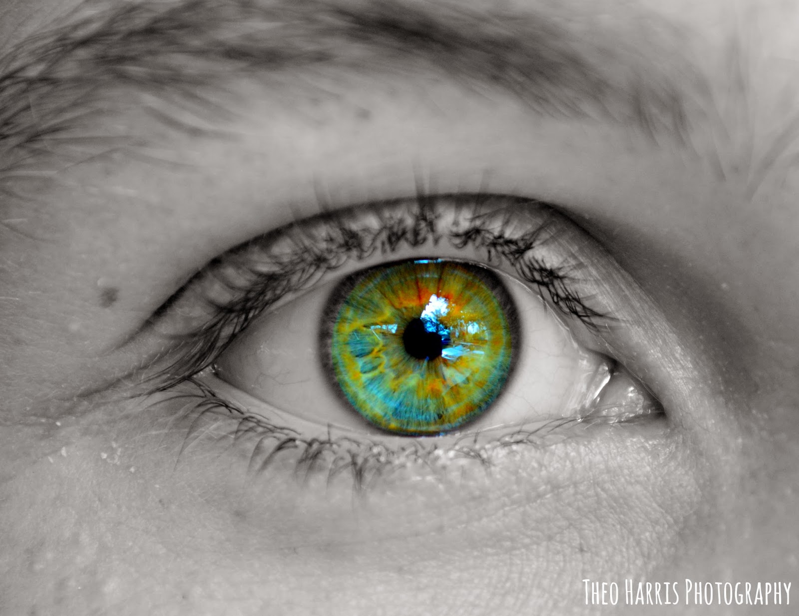 The Viz: Eyes: The Windows to the Soul