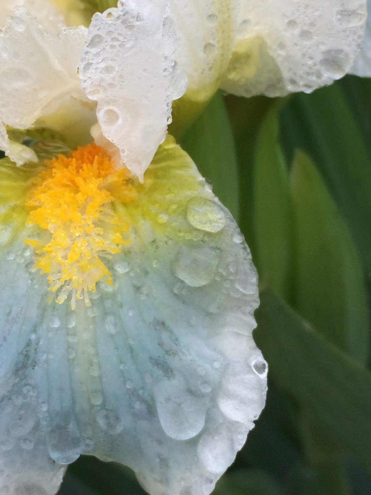 The Helpful Art Teacher: Photography 101: types of camera shots