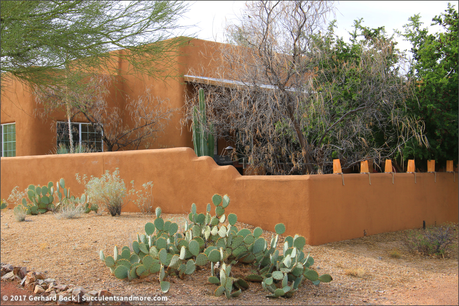 Tucson's Civano community: where I'd love to live