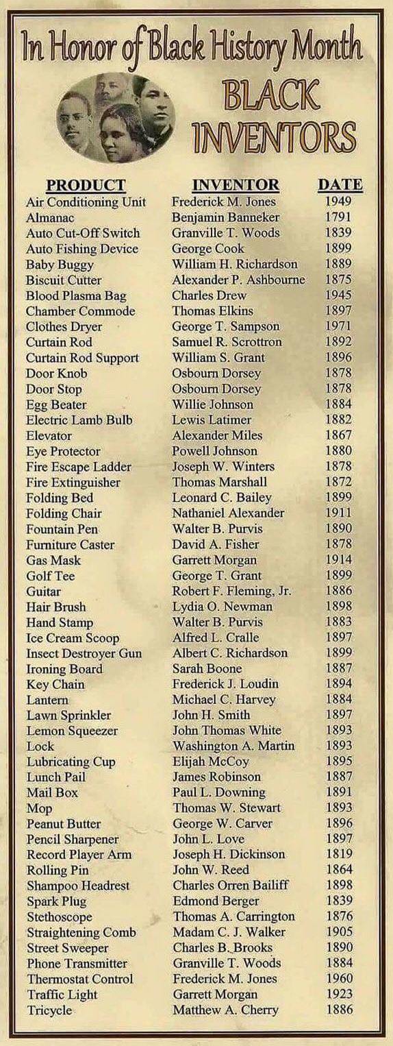 The Lady(Bug) of the Household: Black Inventors Personified