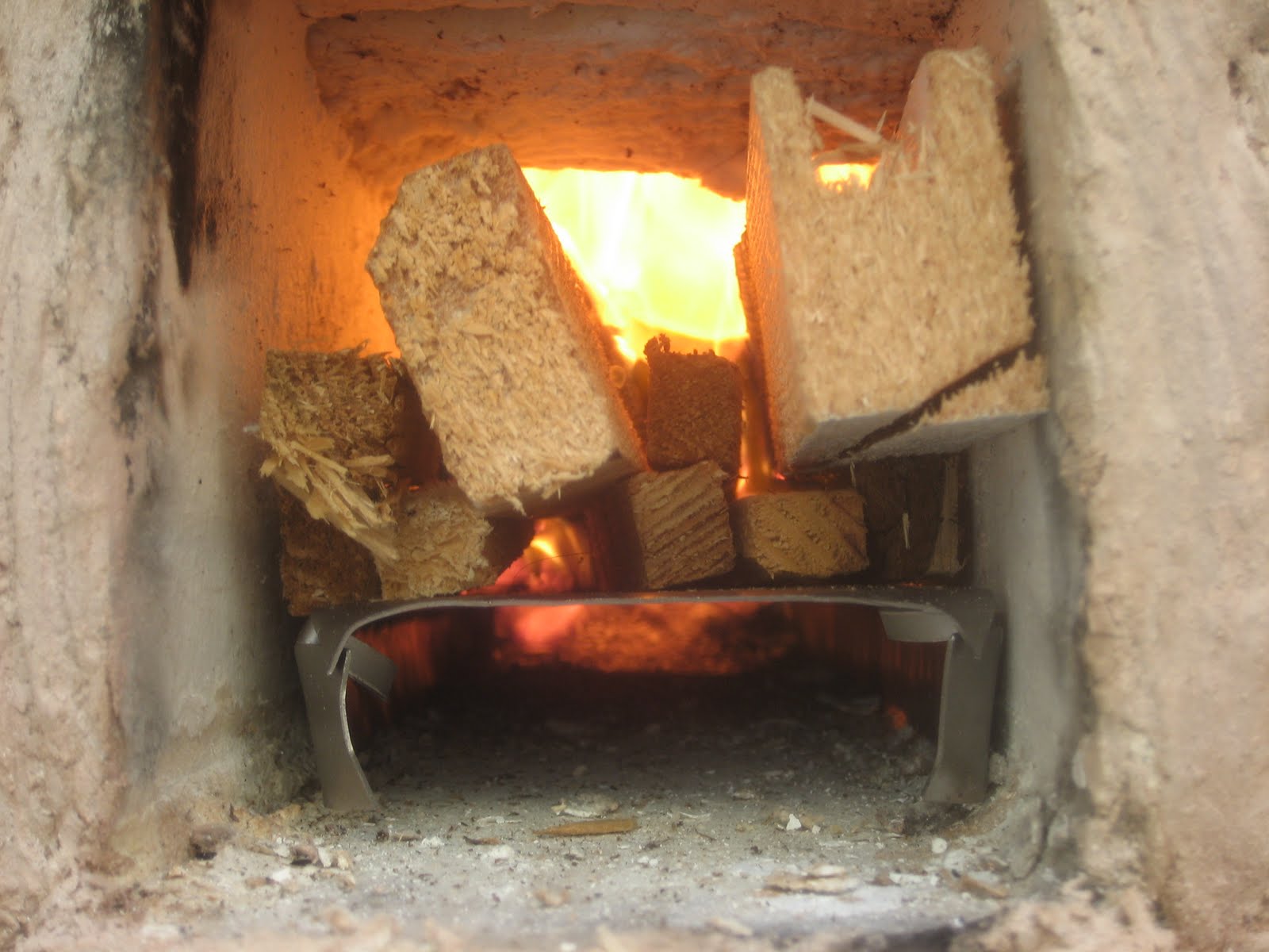 Ernie and Erica's Joint Adventure: Oysturkey and the Tea Stump