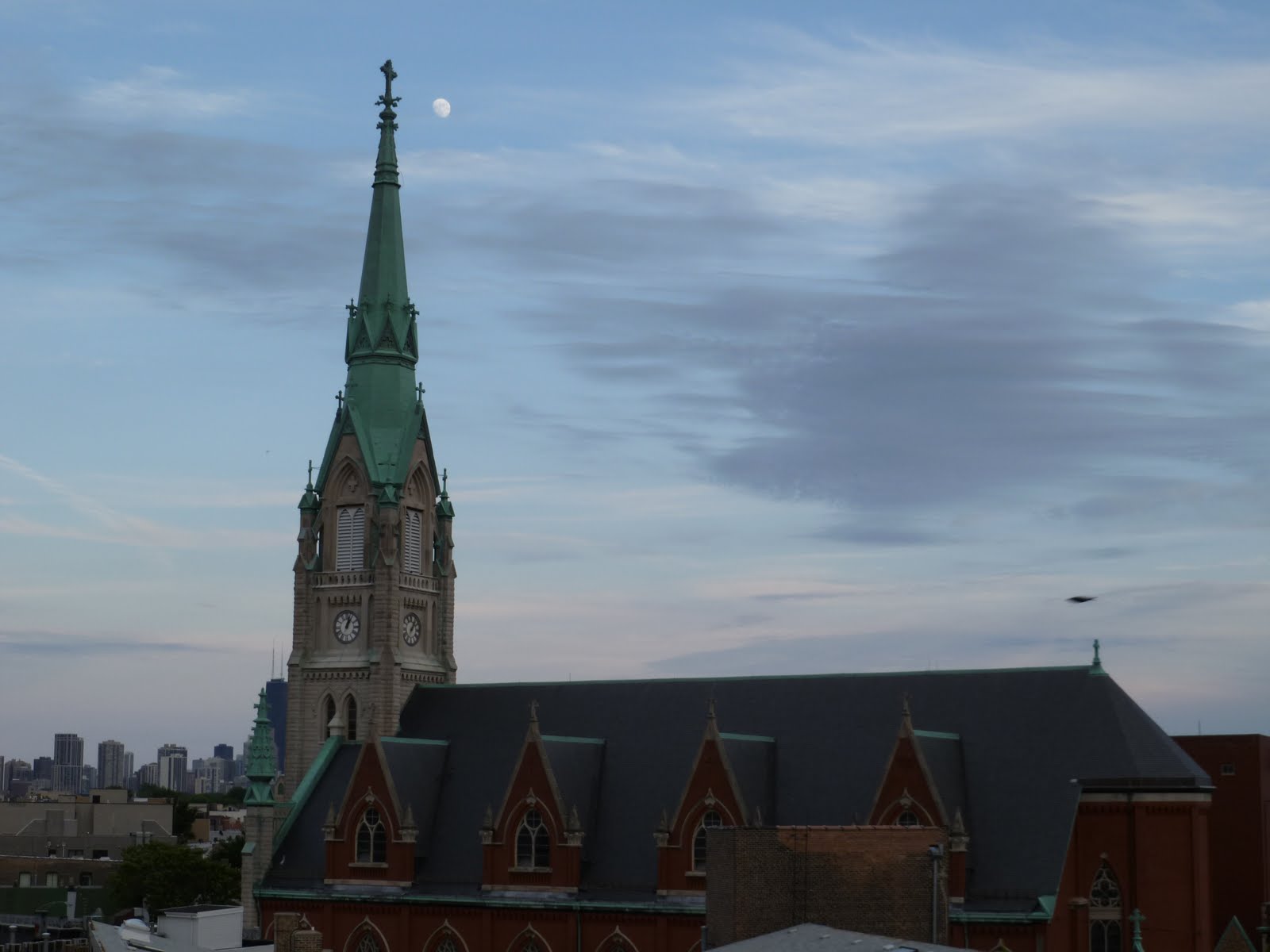 Vicissitudes of the Damned: Issue No. 81: Feather Metsch's Polaroid ...