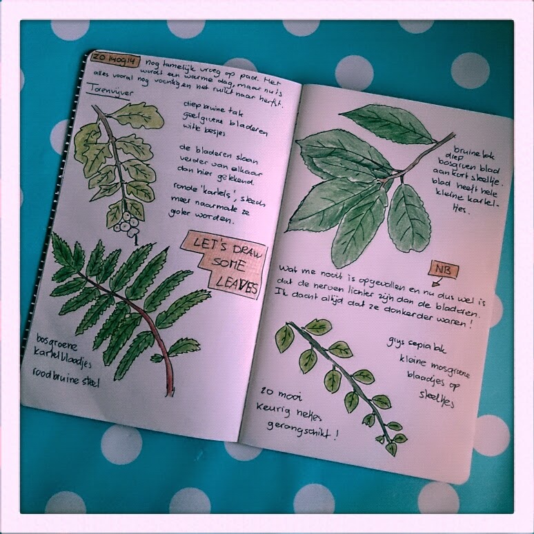 Caatje's Artsy Stuff: Field notes