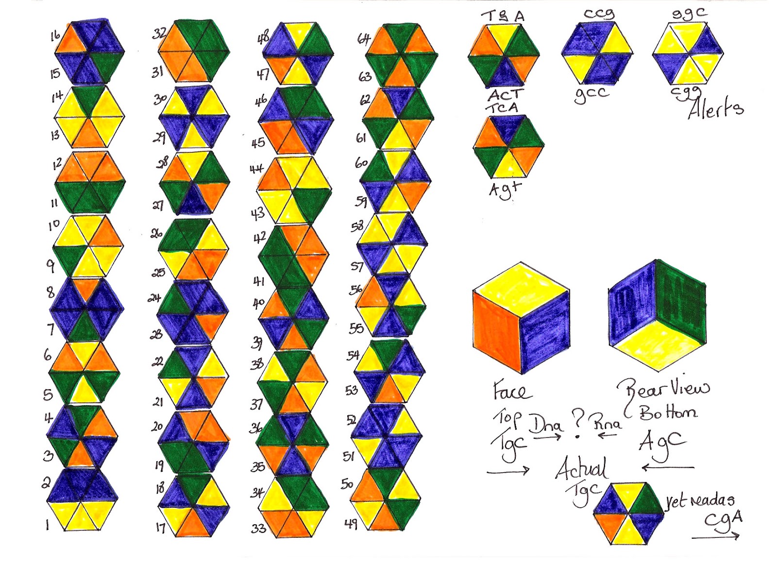 The Ramblings of The Rose: Map 31 I Ching Hexagrams of DNA in pairs ...
