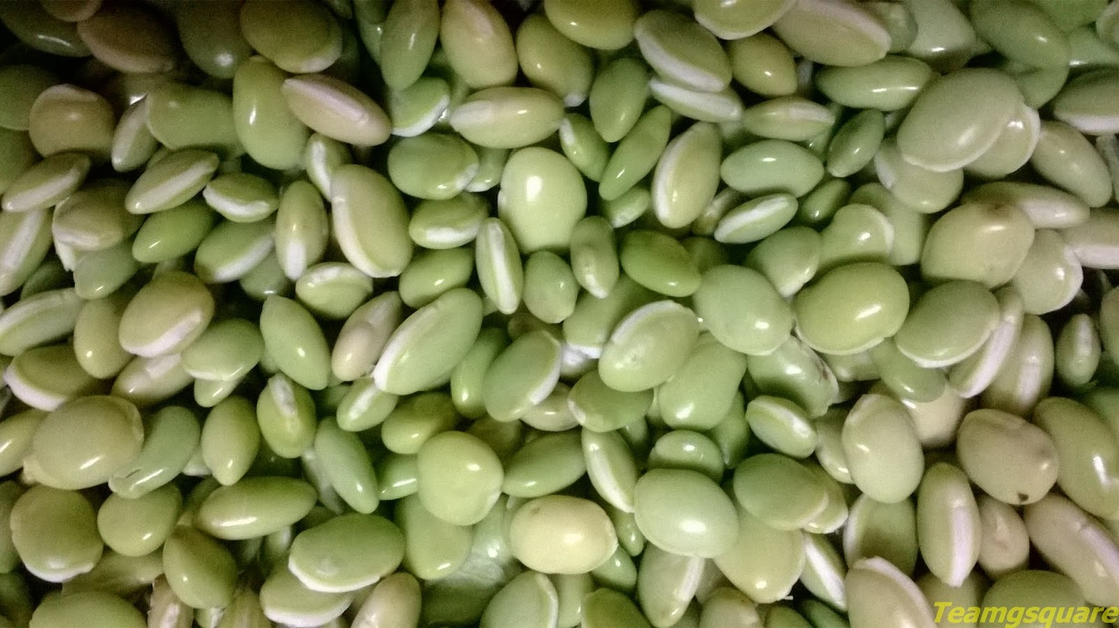 Avarebele Mela 2016-A Tasty Treat To The Tongue!!!