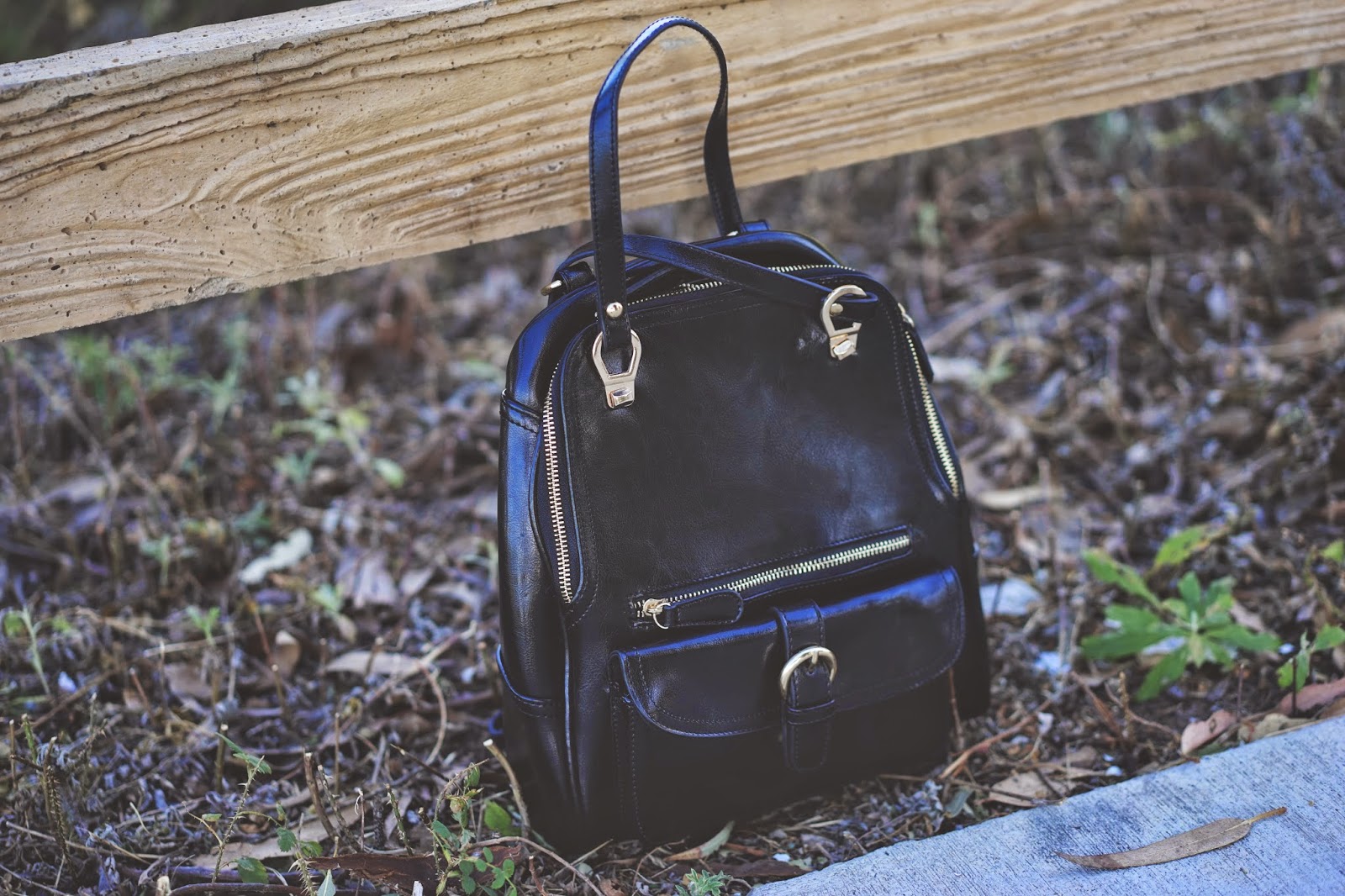 Oak Tree Oak Tree Oak Treeeeeeeee - A Fashion Nerd, A Colorful Fashion ...