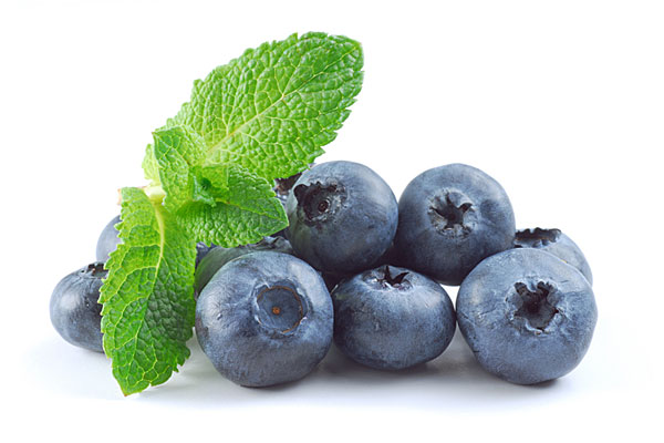 PLANTATII SPECIALE: PLANTATIE DE AFINE