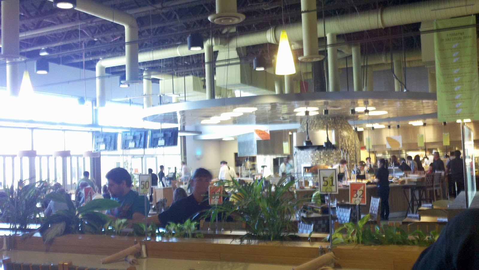 Chicos and Beans: A Desert Vegan Survival Guide: Engrained, Arizona ...