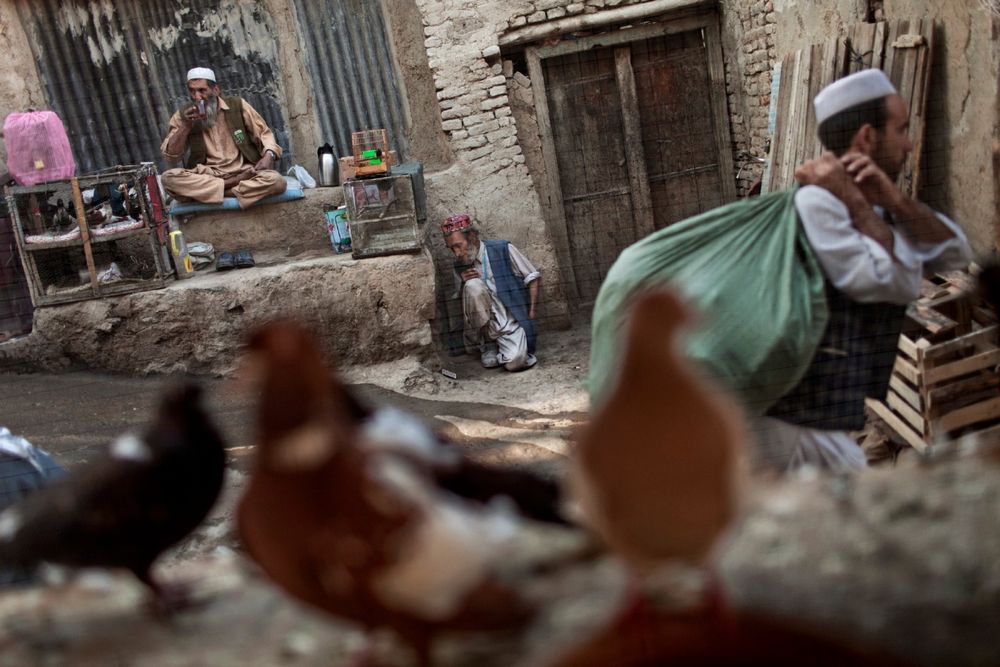 I MIEI SOGNI D'ANARCHIA - Calabria Anarchica: Adam Ferguson ...