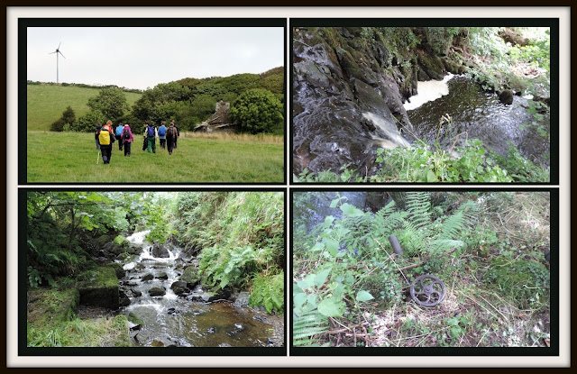 The Glebe Blog: Wigtownshire Ramblers Stoneykirk Circular August 2013