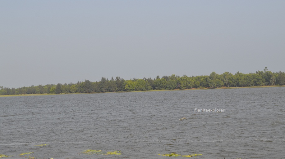 Tampara Lake Odisha #AToZChallenge | The Explorer of Miracles