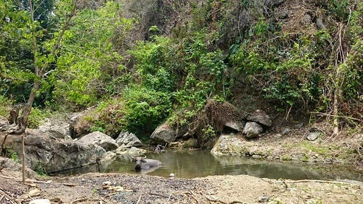 Wakaw Falls in Barangay Toong Cebu - The Lazy Investor's Way