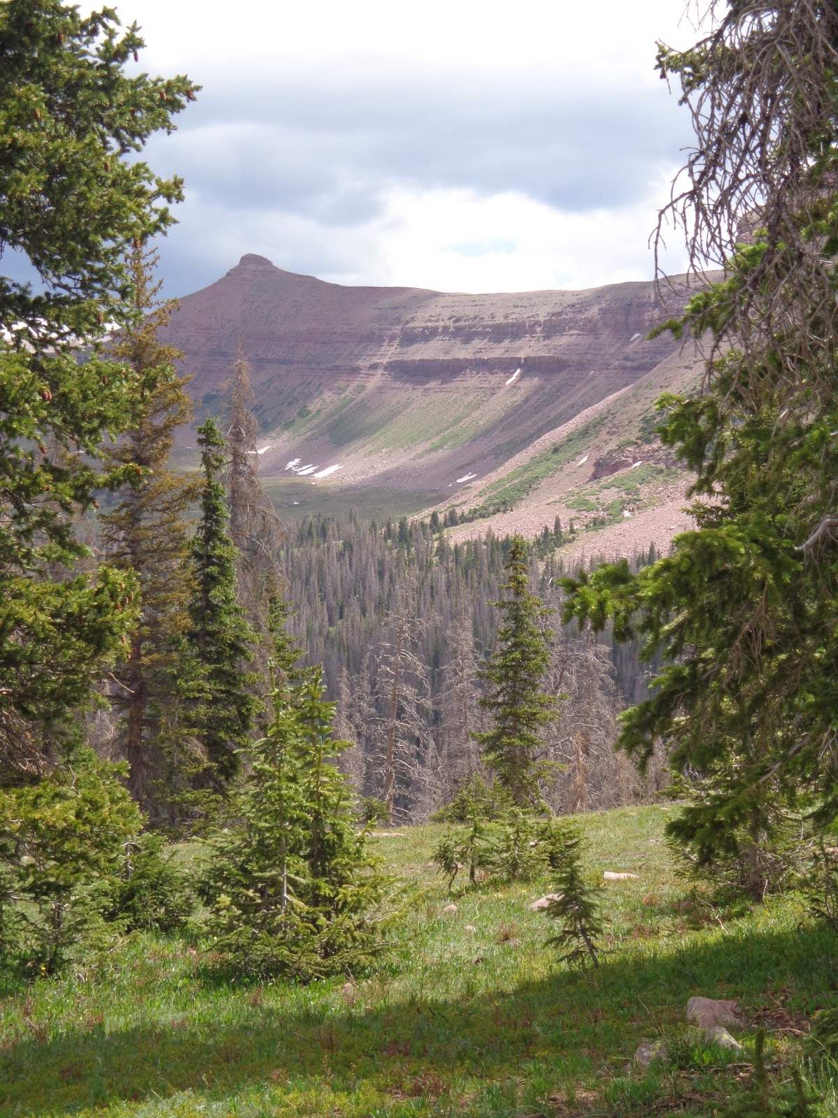 Lone Star Hiker: Uintas 2015, part 3