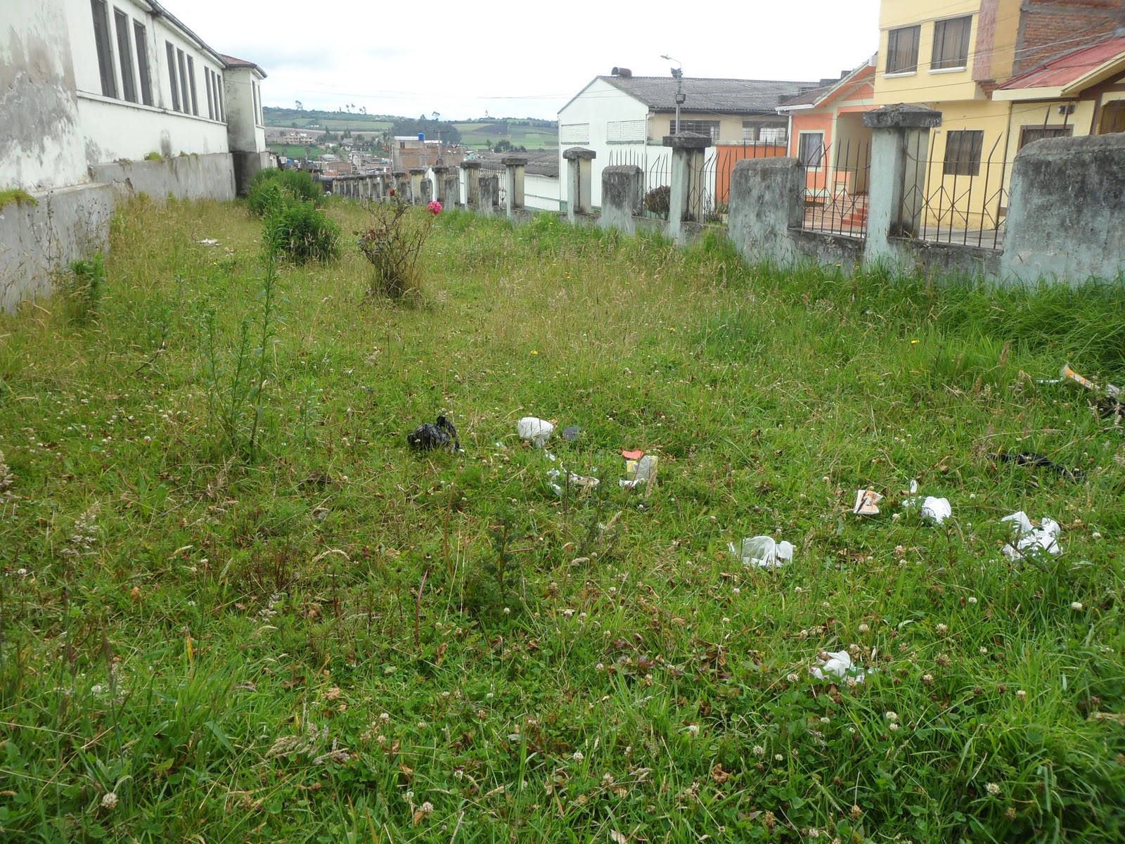 la contaminacion en nuestro municipio: LA CONTAMINACION EN ZONAS VERDES
