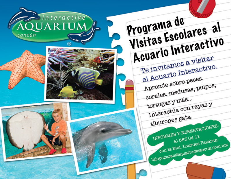 Las colaboraciones: Visitas escolares al Acuario interactivo