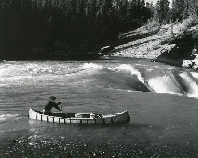 les poissons des arbres: Canot indien en écorce