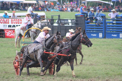 PairADice Mules: Chuckwagon Races