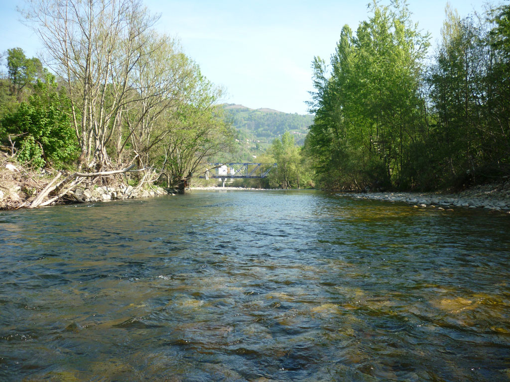 asturmosca: Río Nalón, cuando el rio suena...