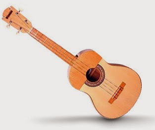 LA MUSICA DE NUESTRO ESTADO ZULIA: INSTRUMENTOS QUE SE UTILIZAN EN LAS ...