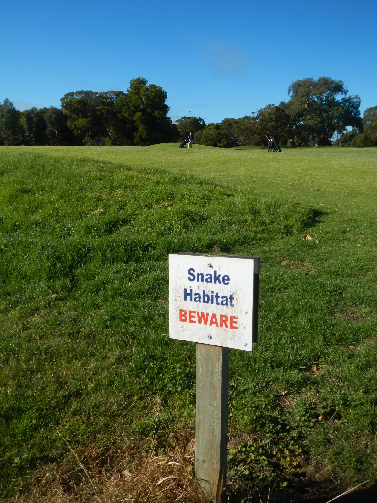 9to5explorer: Out and About at Werribee Golf Club