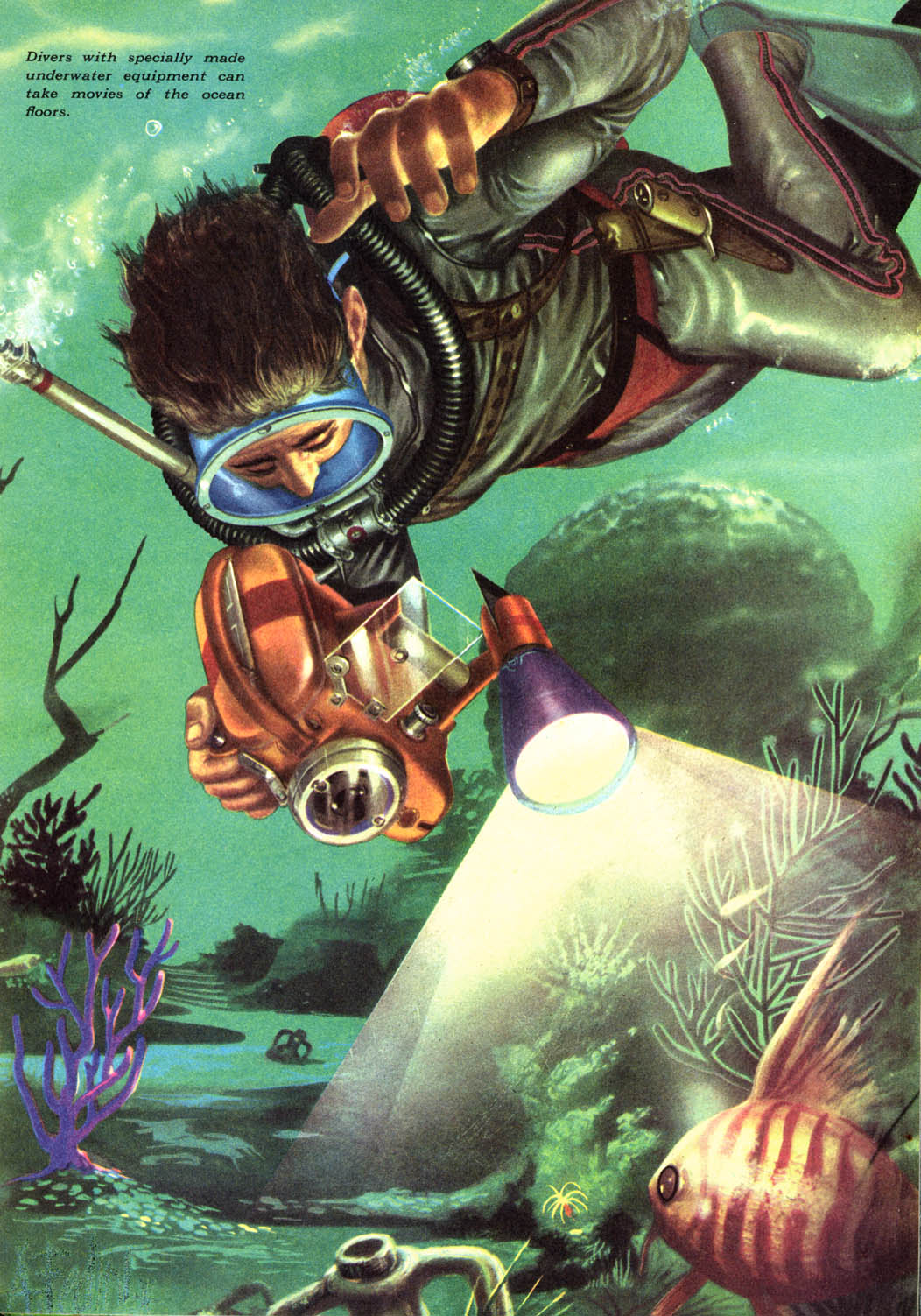 The Art of Diving: The Familiar Art of Diving