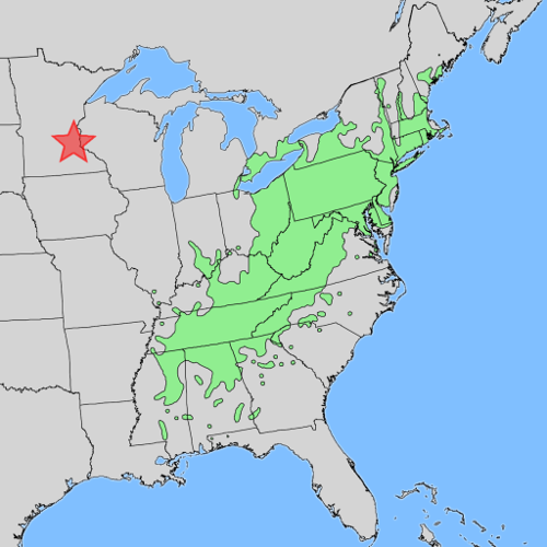 American chestnut range vs. me