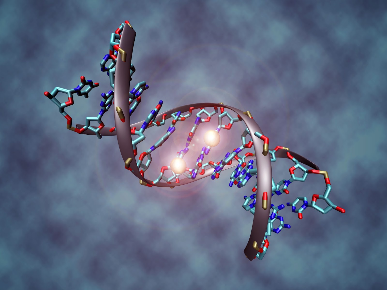 The Qualities Of Good DNA Activations - Best4Fit