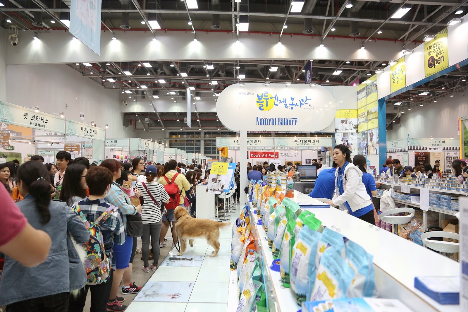 EXCO blog : Time Out: Paws, Claws, and ‘Awws’