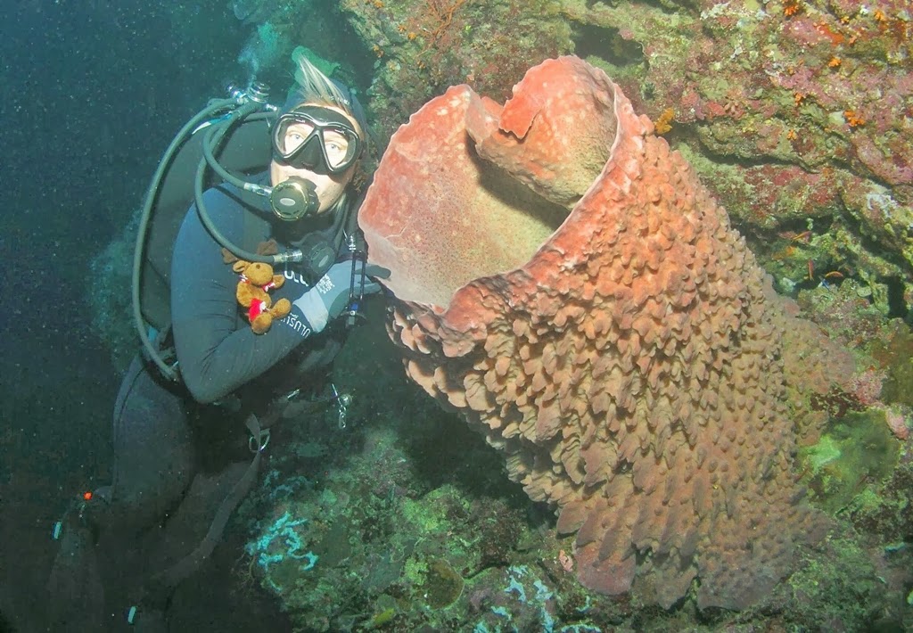 Lorelei's Adventures: Episode 19 Munda, Rendova & Marovo Lagoon