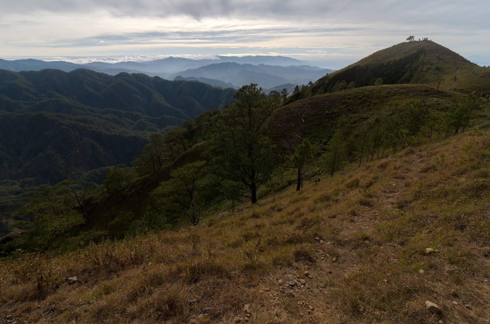 A Guide to Mount Ulap Cloud Mountain Ampucao Itogon Benguet | AvianQuests