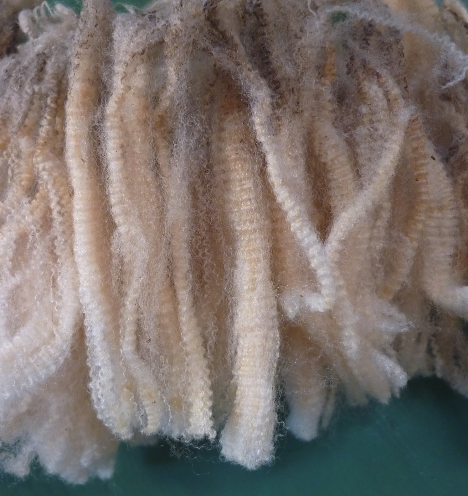 The Spinning Shepherd § La Bergère Filandière: Ouessant Wool 101