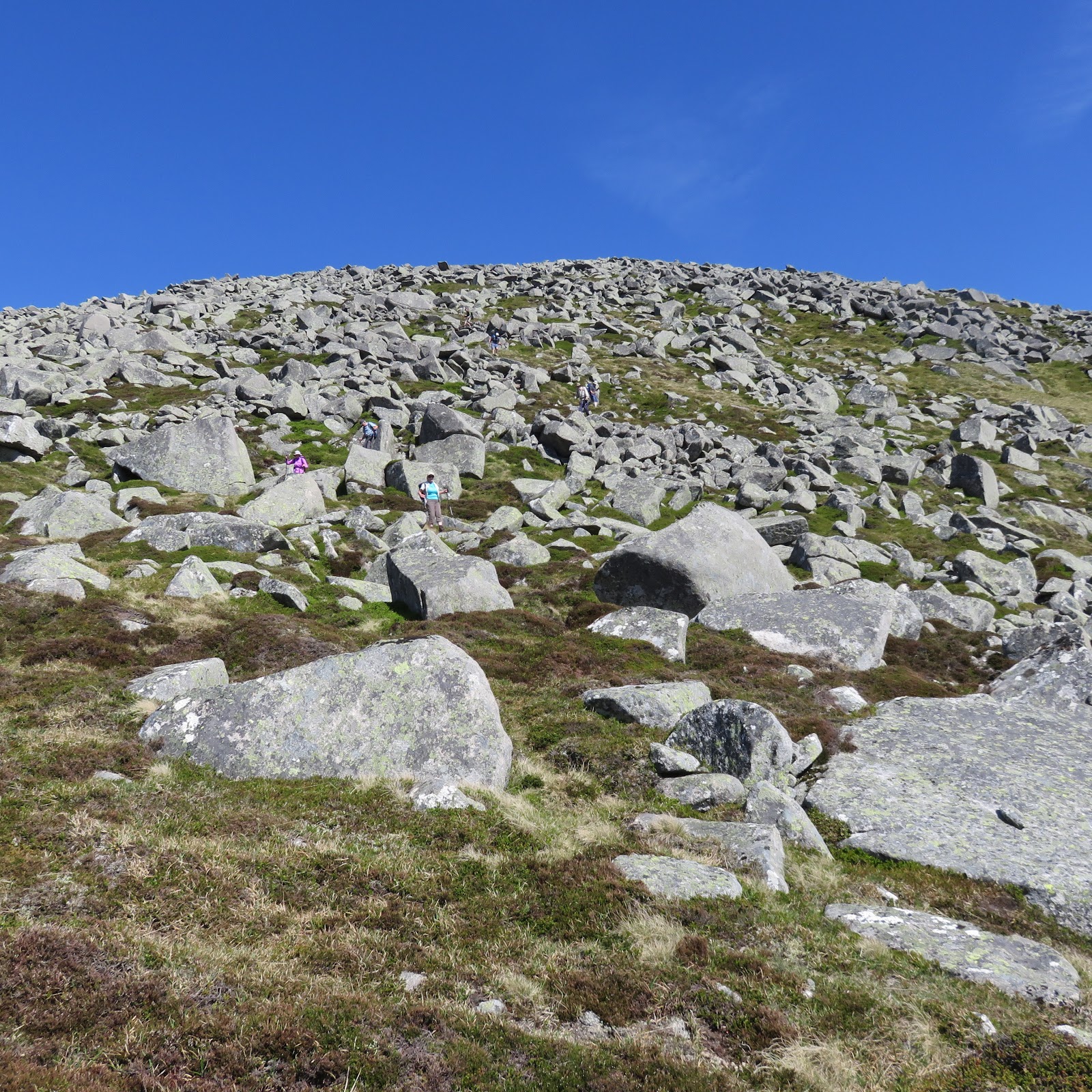 Desmondo's Ramblings: Lochnagar by the long, long route, Invercauld Bridge