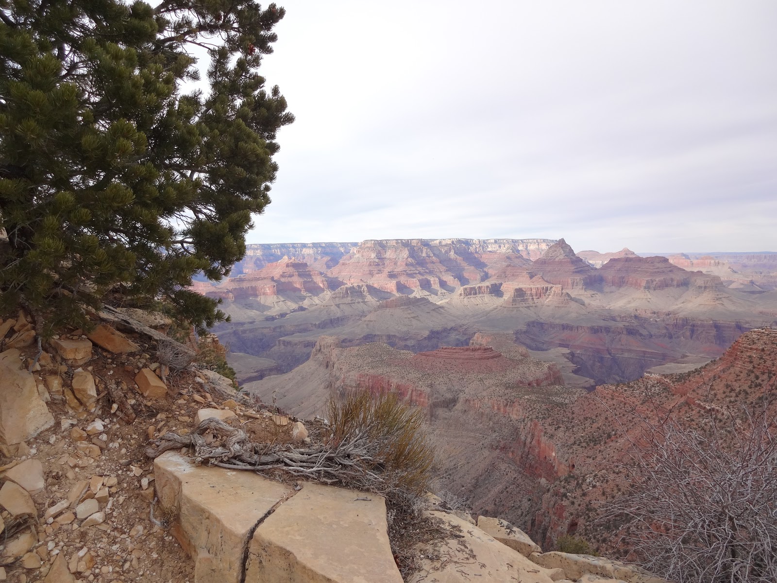 Hiking Grandview Trail in Grand Canyon – Kristy McCaffrey
