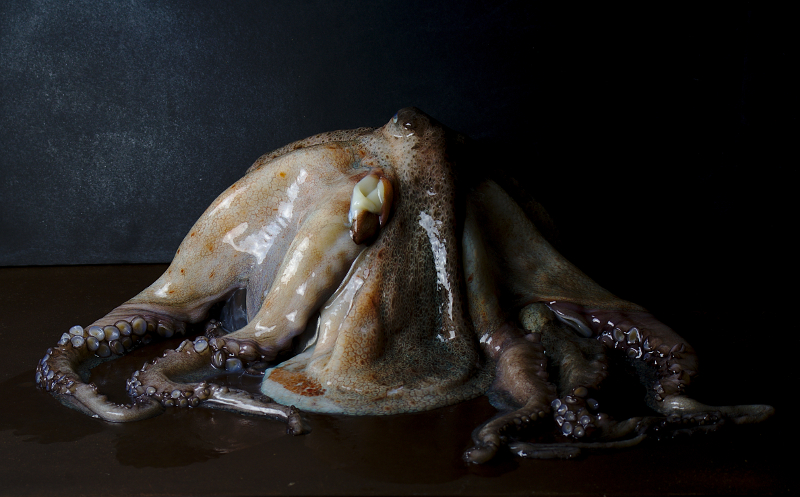 Polbo á feira a baixa temperatura ou "sous vide"