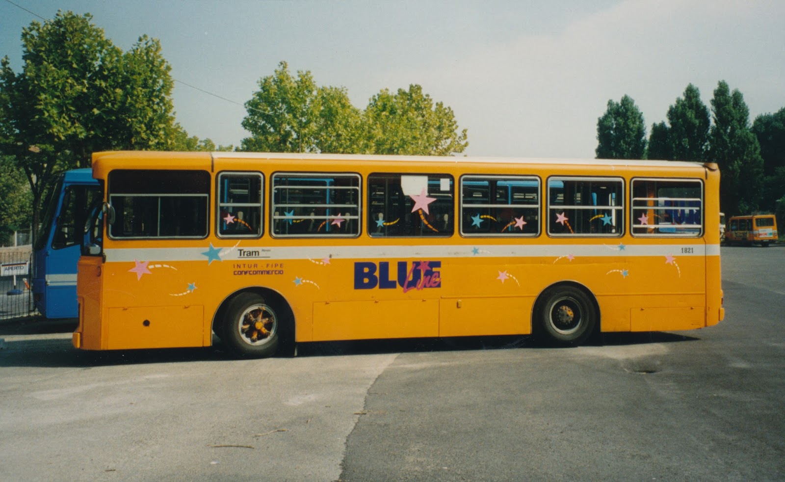 Trasporti Pubblici in Romagna: BLUEline : IL BUS DELLA NOTTE