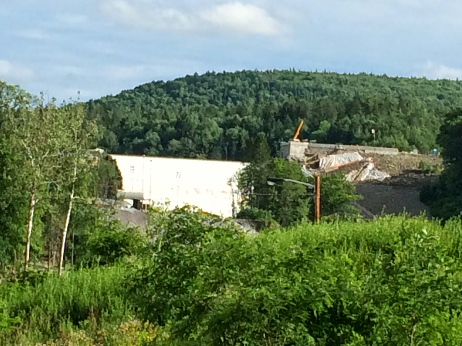 venturing4th: Gilboa Forest