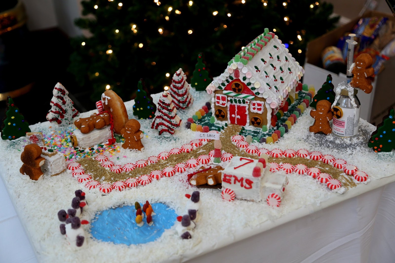 Charleston Daily Photo: Gingerbread contest - healthcare version