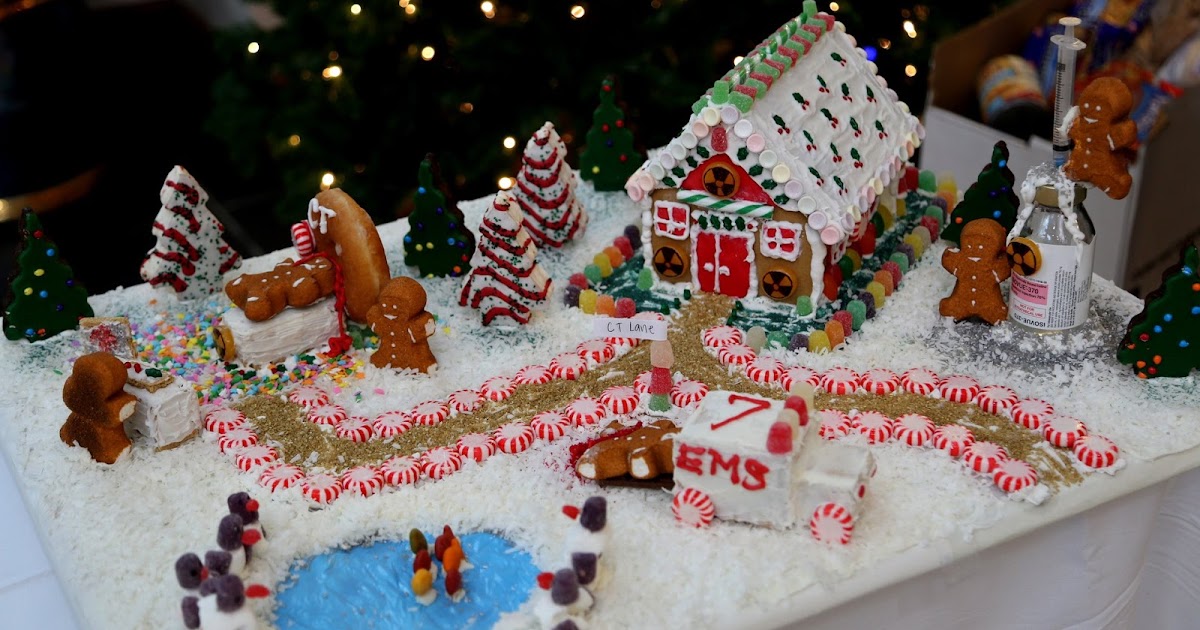 Charleston Daily Photo: Gingerbread contest - healthcare version