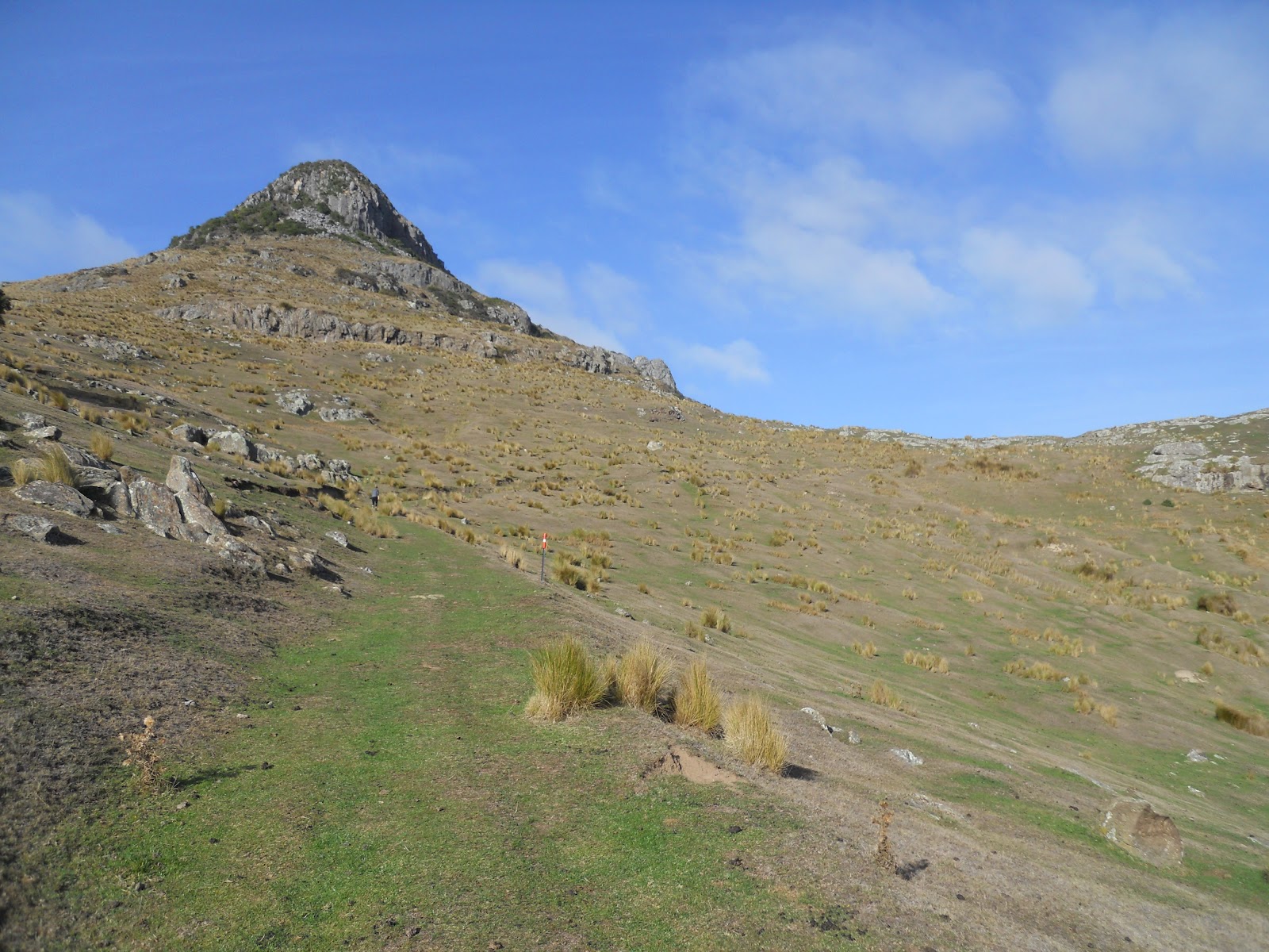 Tramping in the New Zealand backcountry: NZ Bush Adventures: Purau ...