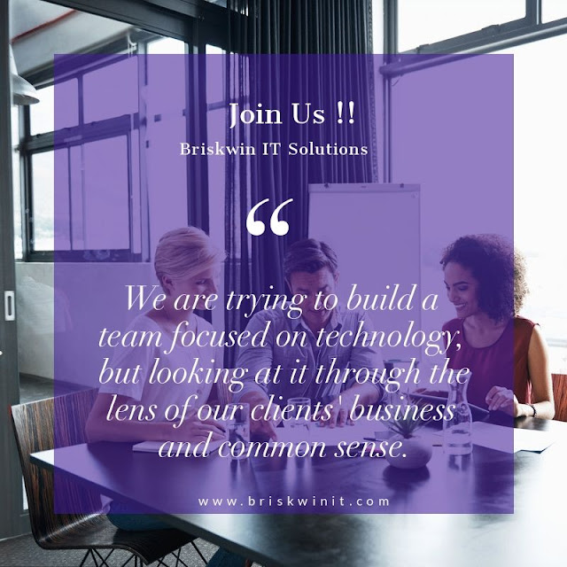 Briskwin It Solutions Future Leader In Crm Services