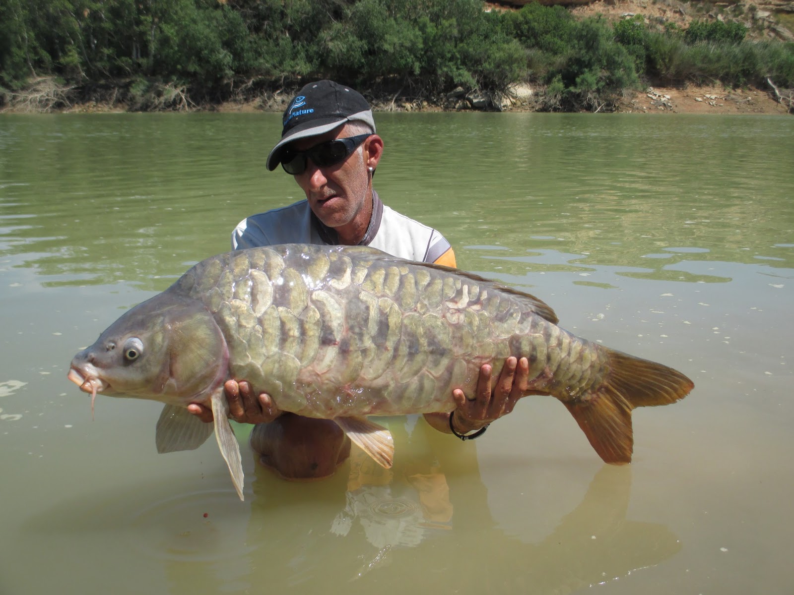 PESCA CON GUÍA DEL SILURO AL LANZADO Y PELLETS CON ALBERTO MILLÁN ...