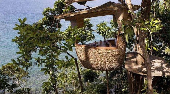 Amazing Tree Top Restaurant in Thailand (7 pics) | Daily Fun Pics