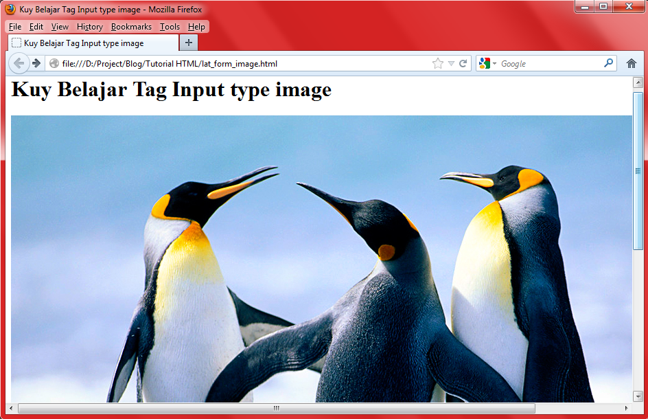 Fungsi Input Type Image Beserta Cara Penggunaannya