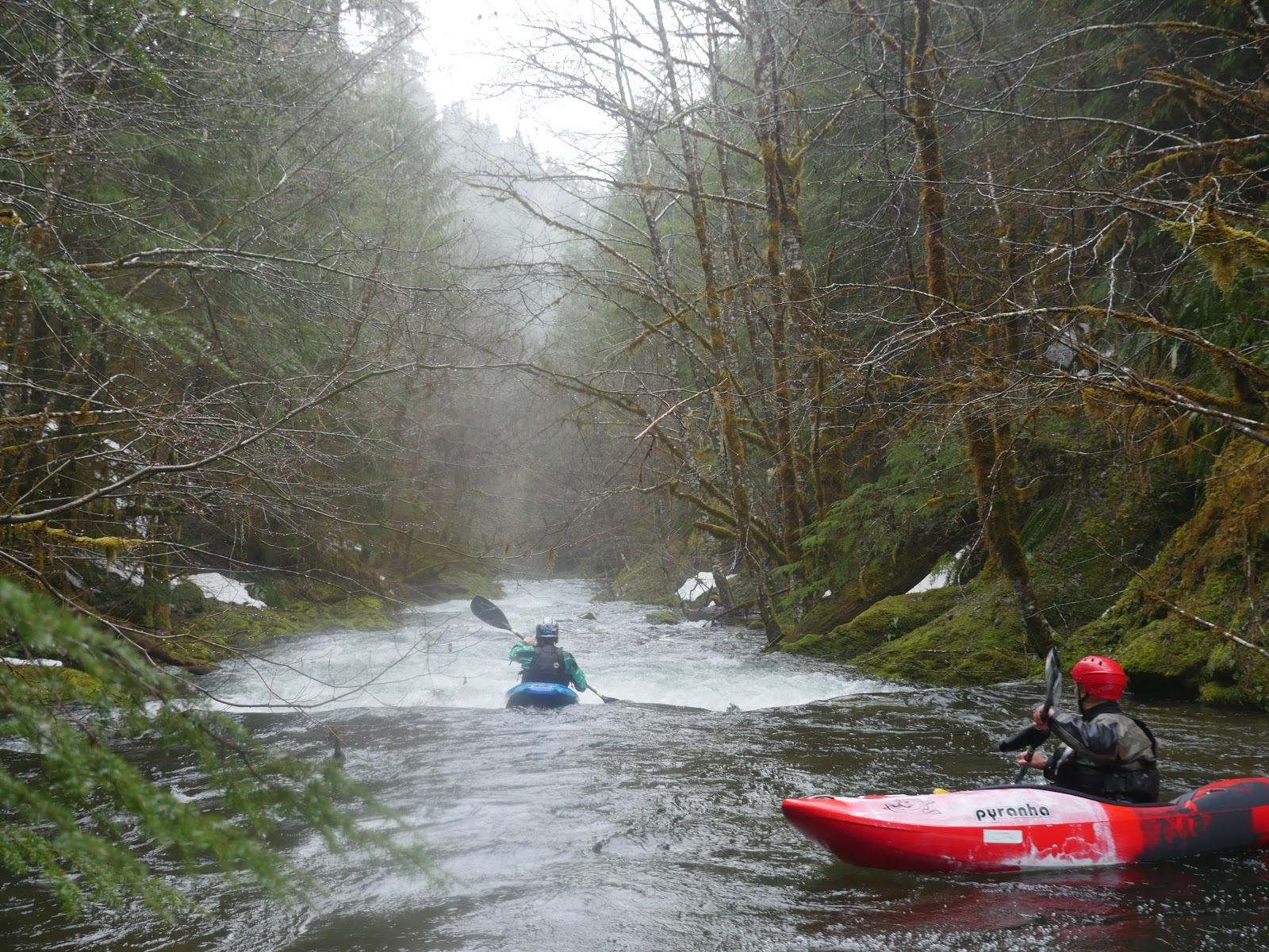 Into the Outside: Calapooia River: Headwaters
