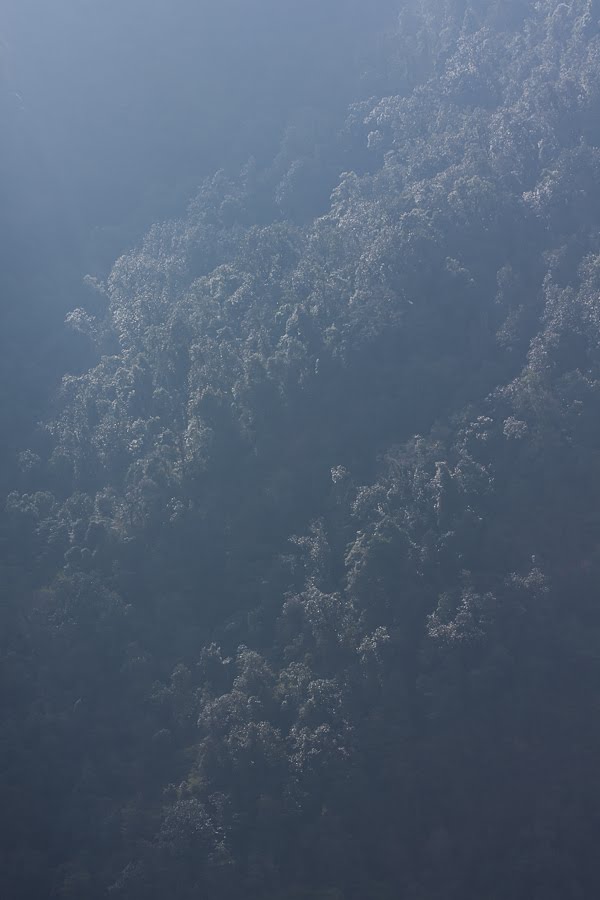 Richard Shilling's Land Art Blog: Annapurna Leaf Colour Discs