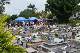 Instituto Eco&Ação: Quais são os tipos de cemitérios que existem?